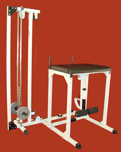 BACK EXTENSION MACHINE WITH EQUAL STROKE RESISTANCE